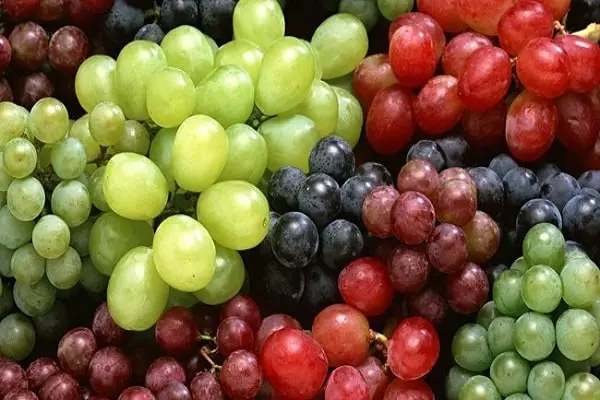 Preparazione di uva
