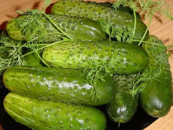 Malosol Cucumbers