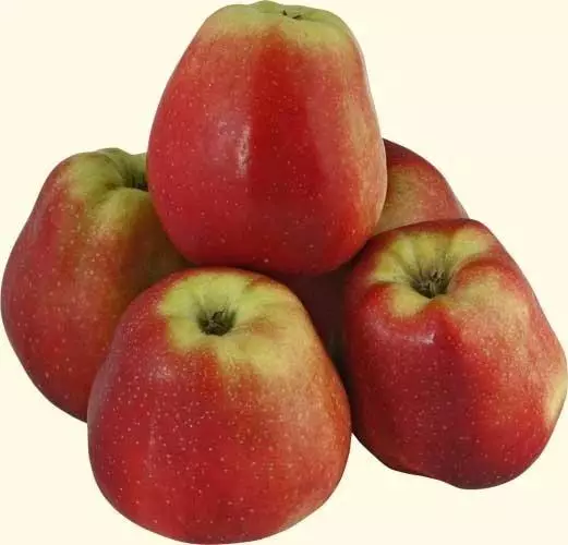 Äpplen Gloucester