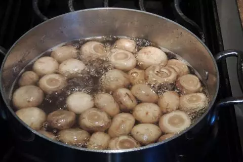 蘑菇在平底锅