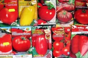 Các giống tốt nhất của hạt cà chua Hà Lan cho nhà kính và đất mở