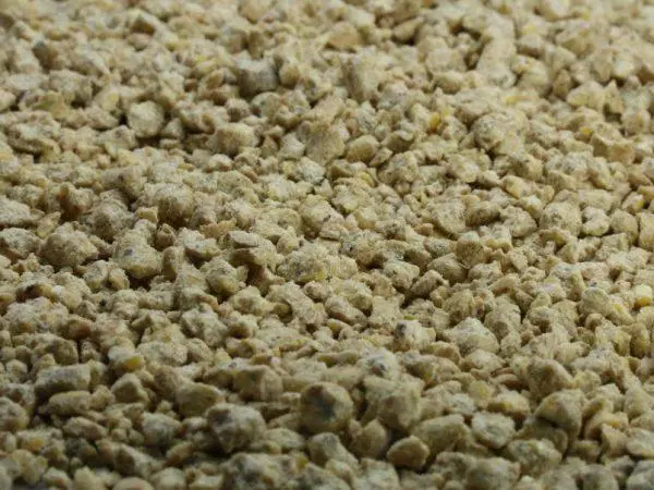 Compound feed for broilers