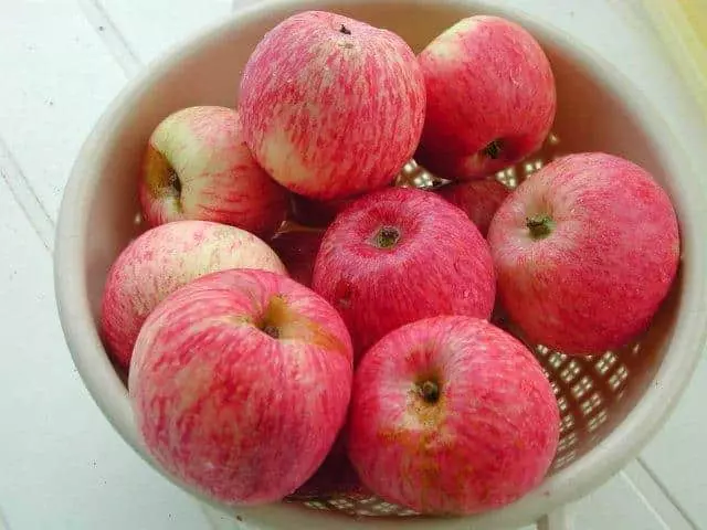 Apple Tree Borovinka.
