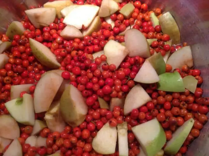 Barsberry果醬用蘋果