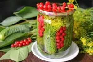 Top 8 step-by-step recipes for cooking cucumbers with currant for the winter