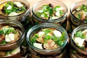Рецепти швидкого приготування солоних баклажан на зиму з начинкою і без в домашніх умовах крок за кроком