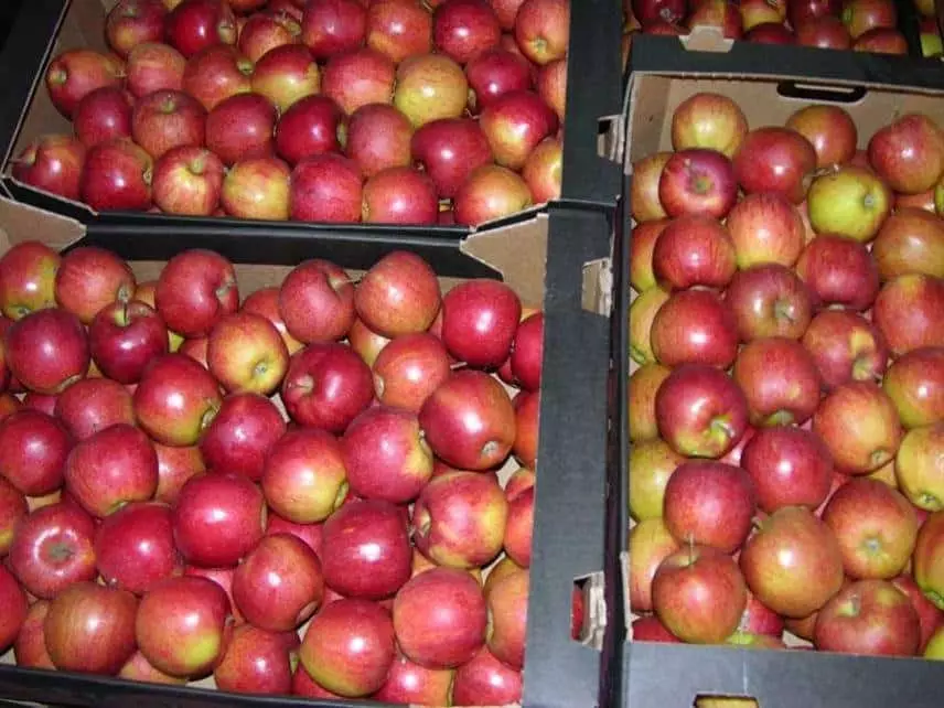 Preparation of apples