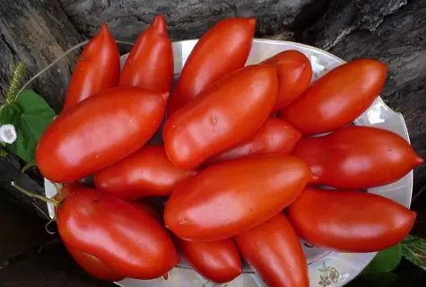 Pomidory w naczyniach