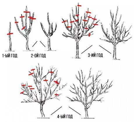 Einen Baum zuschneiden