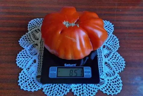 Tomat pada skala.