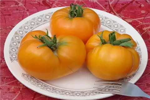皿の上のトマト