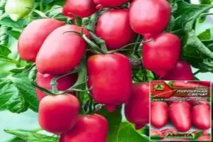 Descrizione della varietà di pomodoro Candela viola, la sua resa e feedback