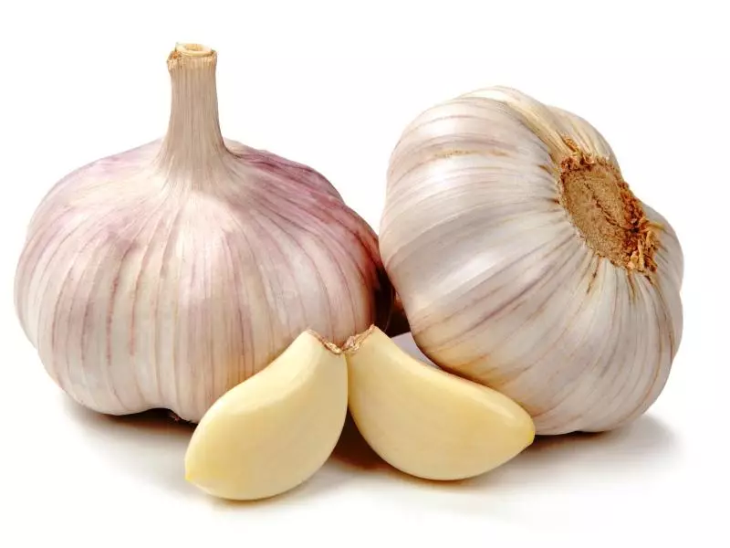 Heads garlic