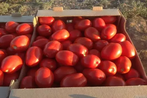 Roșii în cutie