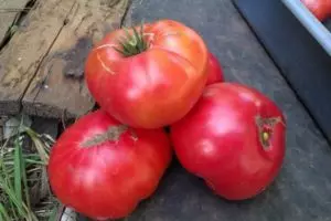 Descrición da variedade millonaria de tomate, as súas características e cultivo
