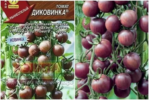 Tomato Somen Dikovovinka