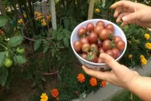 Descrição e rendimento do tomate tomate de tomate cereja