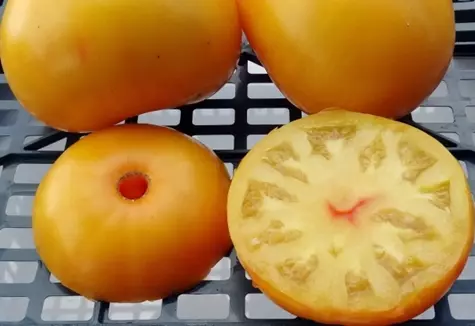 Išorinis pomidorų Babushkin bučinys