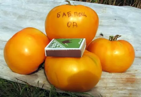 Tomat Babushkin bo sou tab la