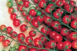 Característica e descrição de uma variedade de doces de tomate, seu rendimento