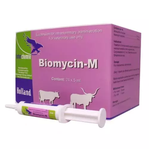 הכנת Biomycin.