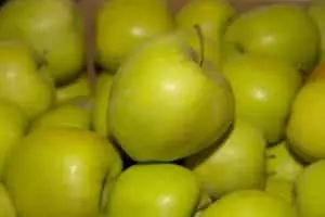 Descripción y variedades de manzanas Golden Delish, creciendo y reglas.