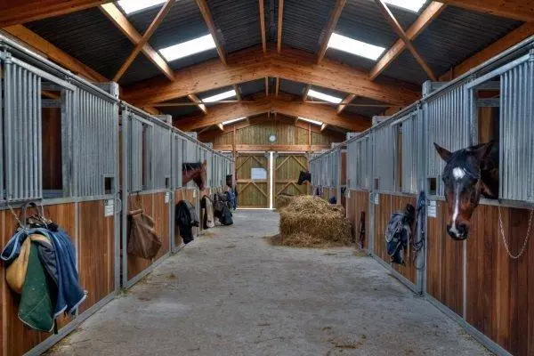 Belle stable