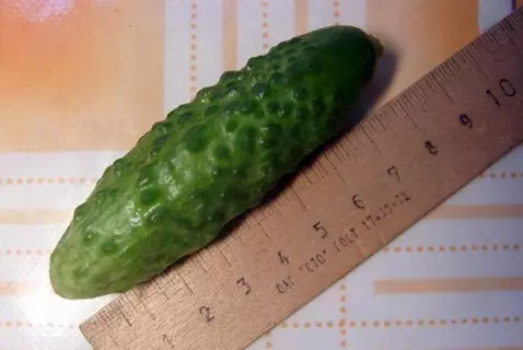 Cornishone Cucumber