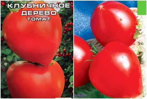 Árbore de fresa de semente de tomate