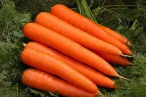 Deleng saka variasi wortel kanthi cepet: Kordoba, Chanta, Cordoba lan liya-liyane