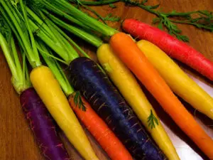 شرح، ویژگی ها و ویژگی های رشد بهترین انواع هویج