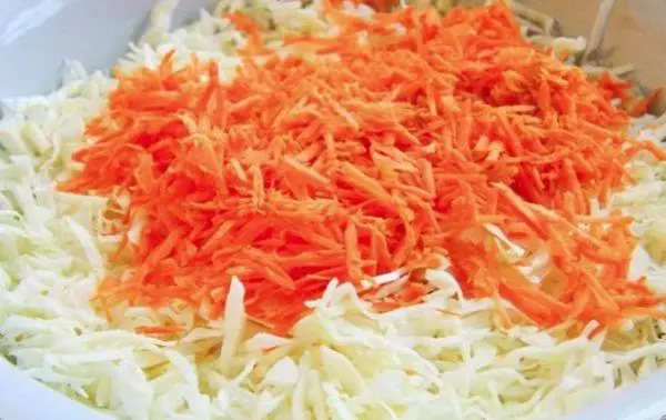 Carrot nrog cabbage