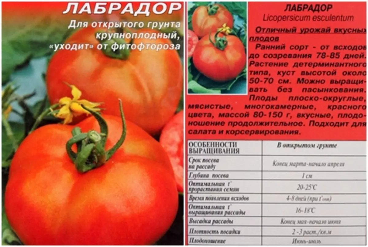 Tomato Labrador: Karakteristik dan Deskripsi Variety, Hasil dengan Foto