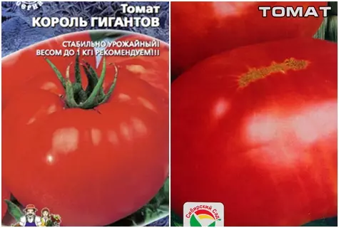 Tomato Saad King Giants