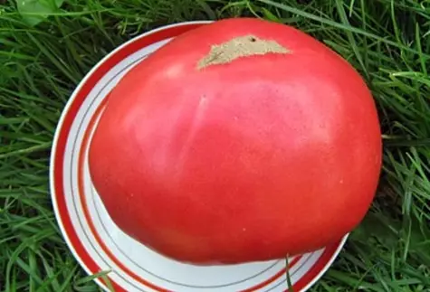 ٹماٹر ایک پلیٹ پر دانتوں کا بادشاہ