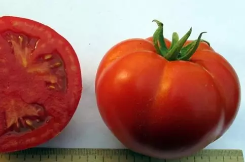 Utseende tomat viktig person f1