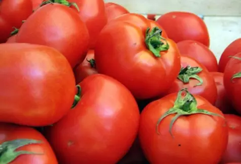 Aparência Tomate Family.