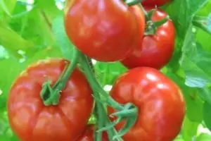 Nodweddiadol a disgrifiad o tomato chylovsky