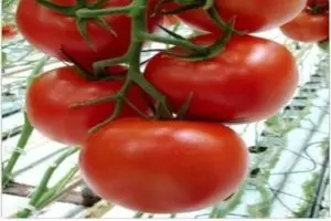 Njirimara nke Mexilo F1 tomato na mkpụrụ ya