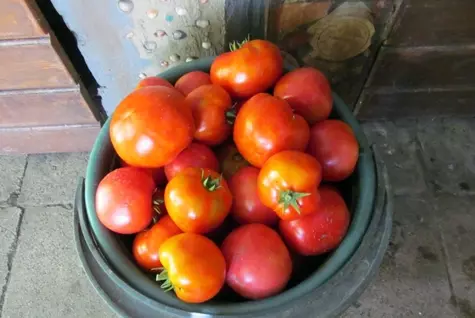 Family tomato crop