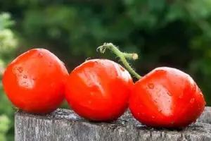 Описание на доматения сърдечна целувка, нарастващи характеристики и реколта