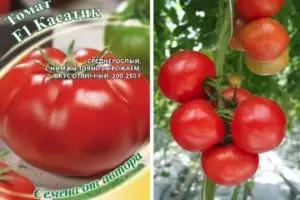 Descrición da variedade de tomate kasatar e as peculiaridades do seu cultivo