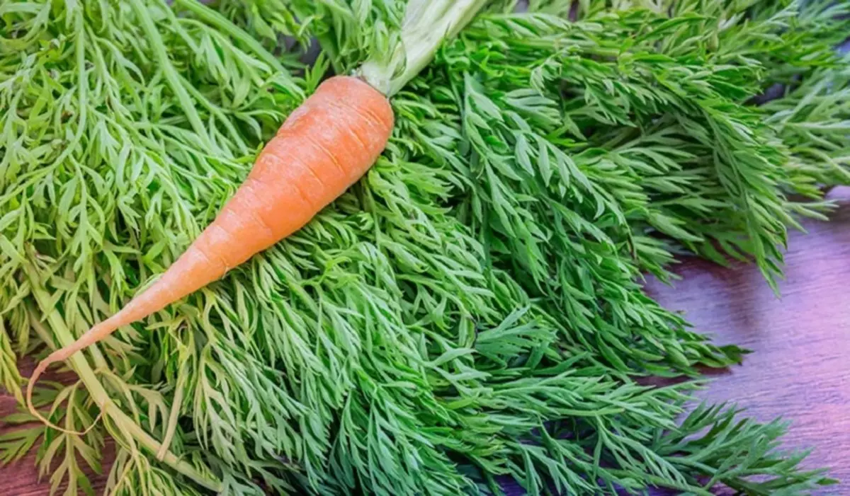 Carrot tippt