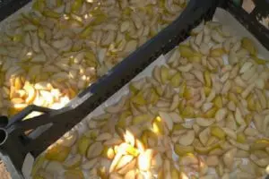 Como apressar as peras no forno e equipamento elétrico