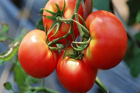 Tomater karakterer