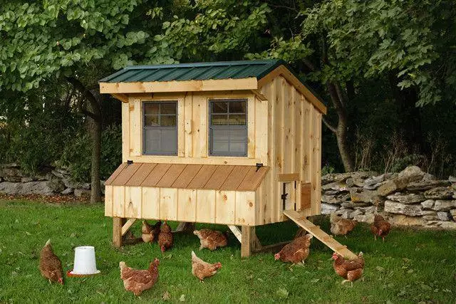 Tempat untuk kandang ayam