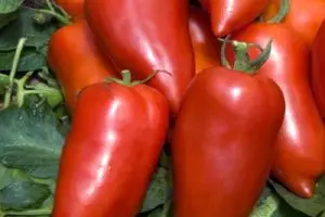 Beschreiwung vun der Banana-fërmege Tomato Bonanza a seng Charakteristiken