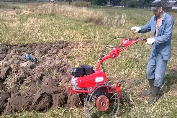 membolehkan penggunaannya.