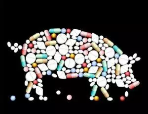 Que drogas, vitaminas e hormonas dan un rápido crecemento de porcos