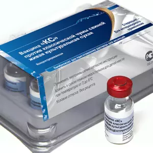 Інструкція по застосуванню вакцини від чуми свиней і протипоказання